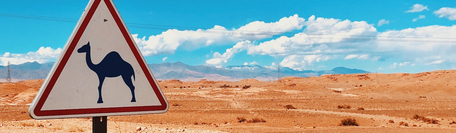 Déposer sa marque au Maroc en 4 étapes | Deshoulières Avocats